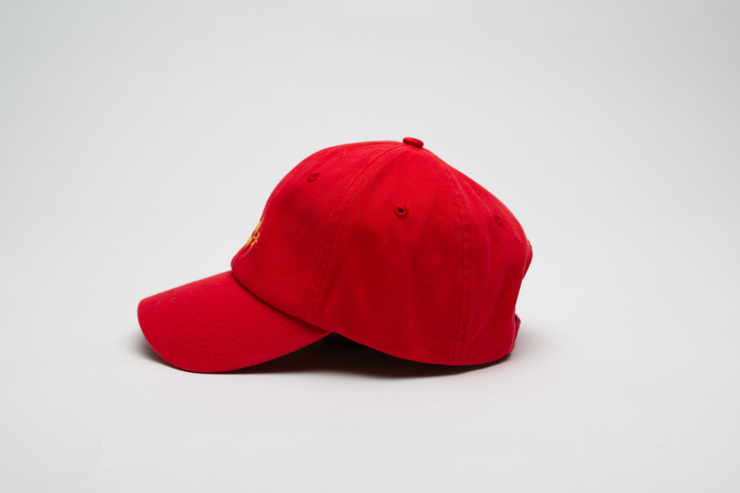 HATS – Cheetah Five